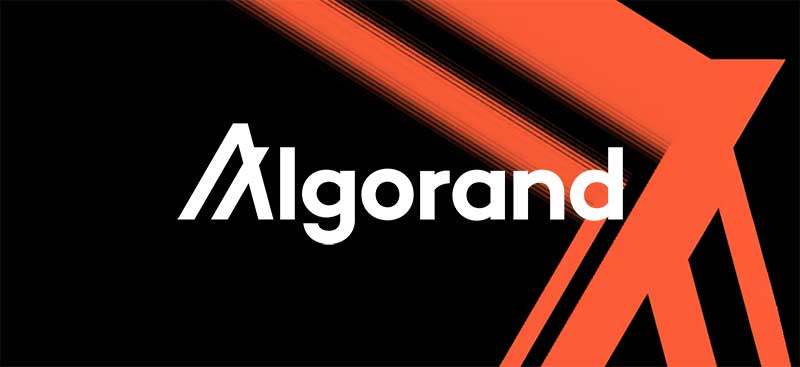Algorand kopen? 10X voor ALGO in 2024 mogelijk! - Cryptonite Academy